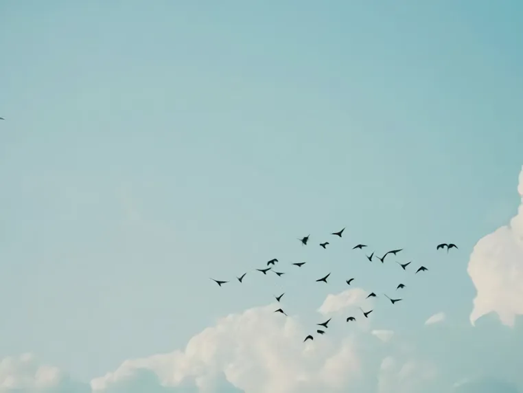 Aries: The Warm Exterior Hides a Cautious and Guarded Heart | Aries ...